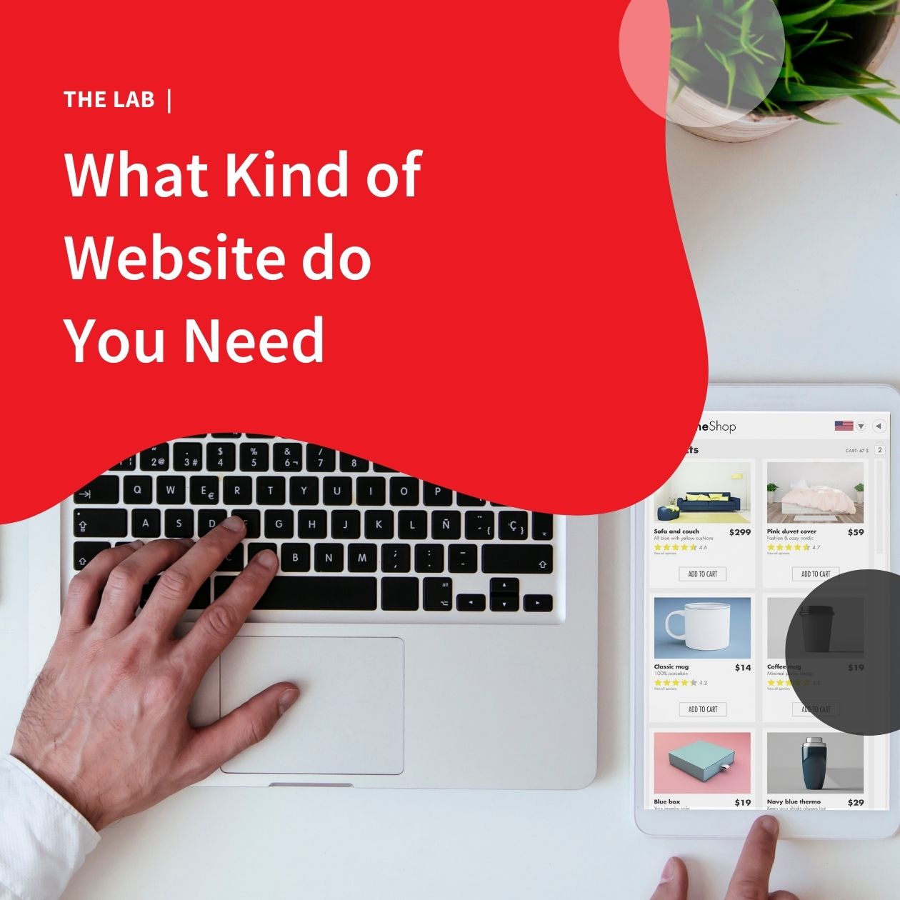 What Kind Of Website Do You Need - Accentuate