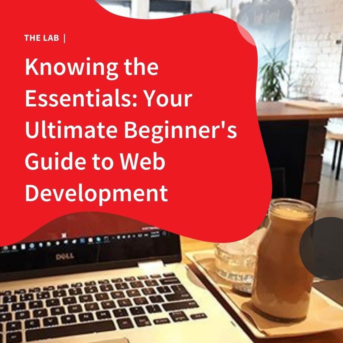 Beginner’s Guide to Web Development | Accentuate Design