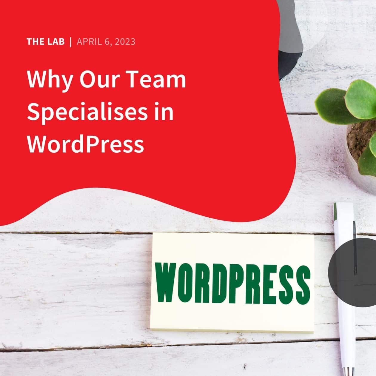 Why Our Team Specialises on WordPress - Accentuate
